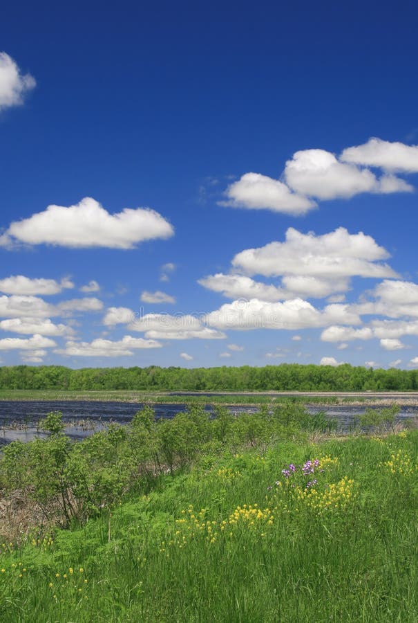 Lake and Meadow Landscape stock photo. Image of summer - 5342600