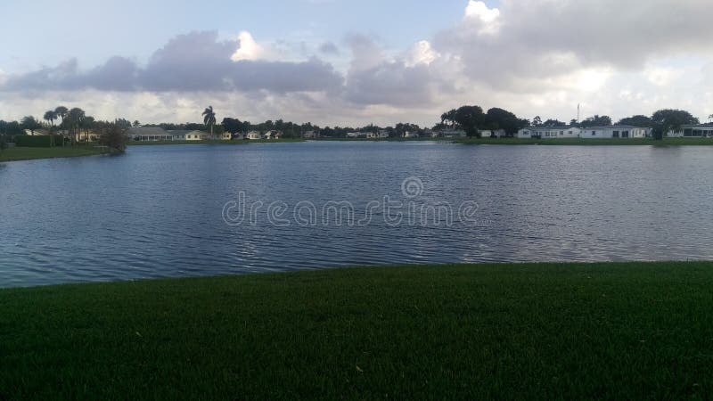 Lake Miami stock photo. Image of springs, palm, miami - 92916236