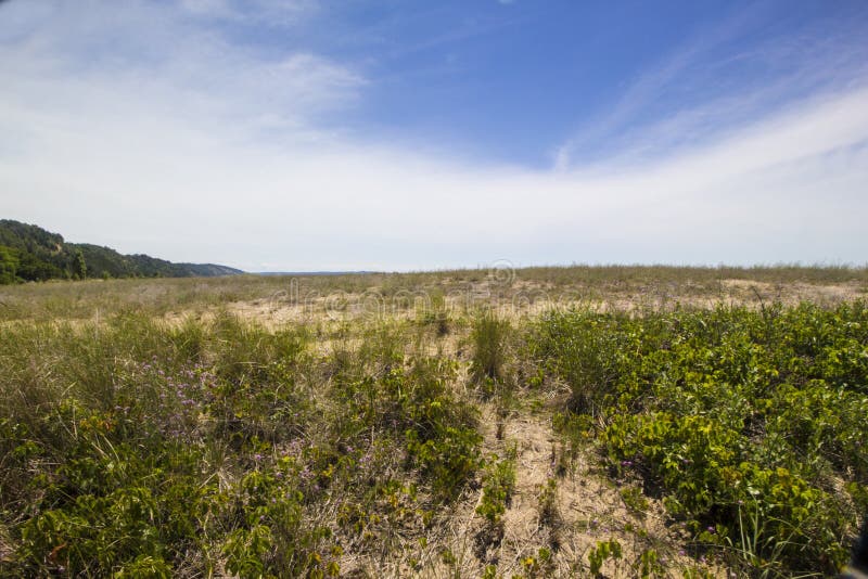 Elberta Beach, Frankfort, Michigan in Summer Stock Photo - Image of ...