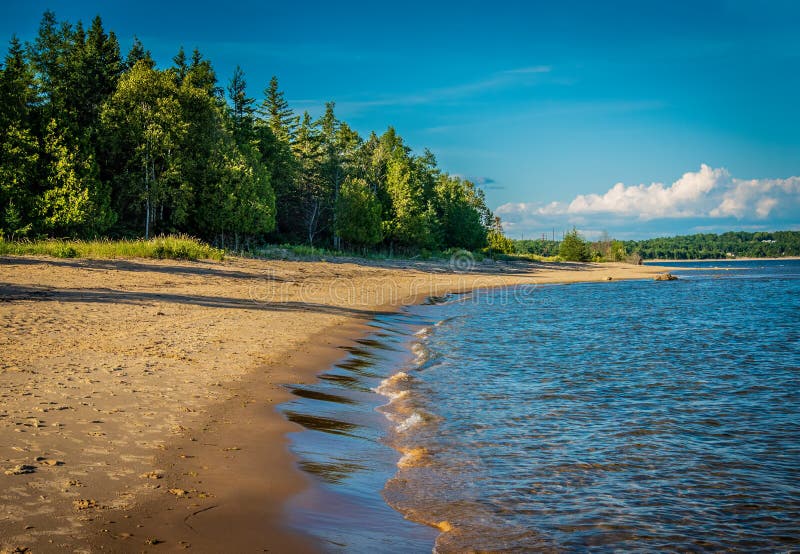 Lake Michigan North Shoreline Beach and Treeline Stock Photo - Image of ...