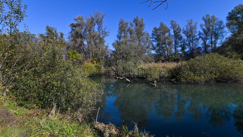 Lake in the Middle of the Swamp with Blue Sky Stock Image - Image of ...