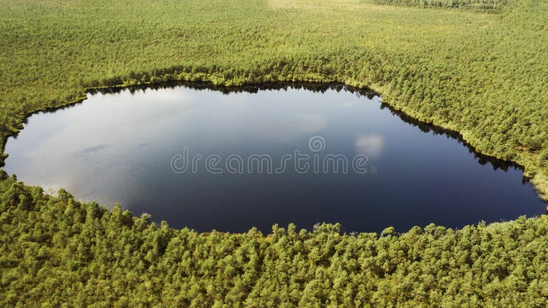 The Lake in the Middle of a Swamp. Ecological Aerial View Stock Photo ...
