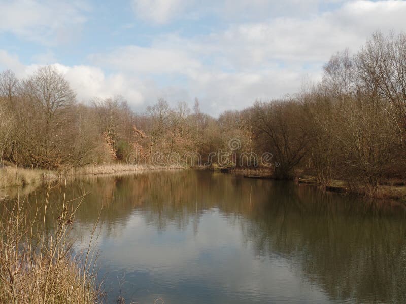 Lake in the Middle of the Woods Stock Photo - Image of blue, kent ...