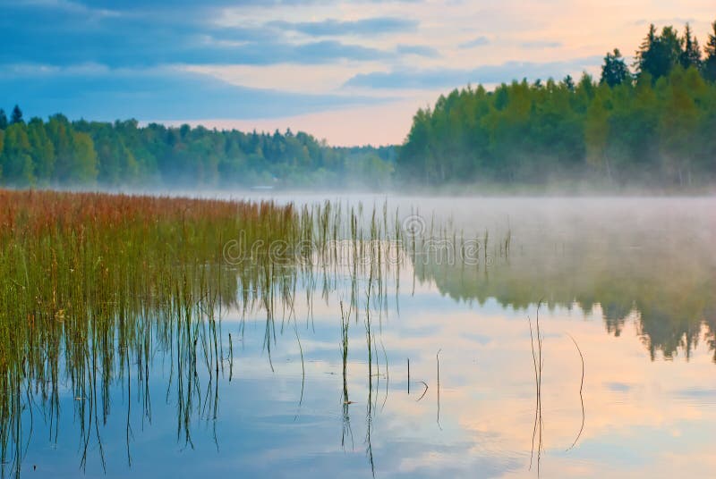 Lake with mist stock image. Image of scene, reflection - 29282605