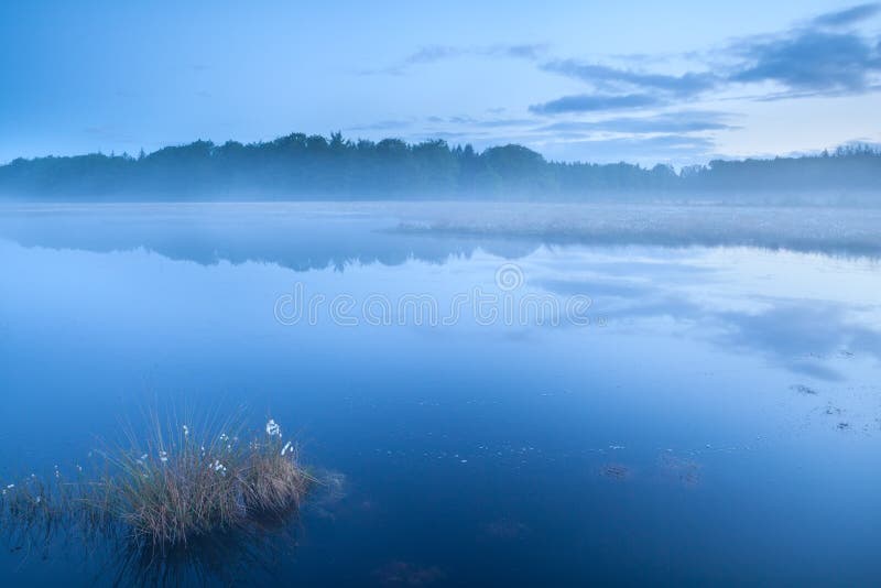 Lake in misty dusk stock image. Image of swamp, wild - 71856505