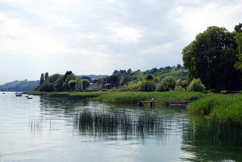 Lake Morat stock photo. Image of lake, wooden, water - 65023018