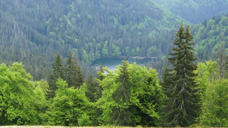 Lake among Mountain Ridges during Spring Rain in Carpathian Mountains ...