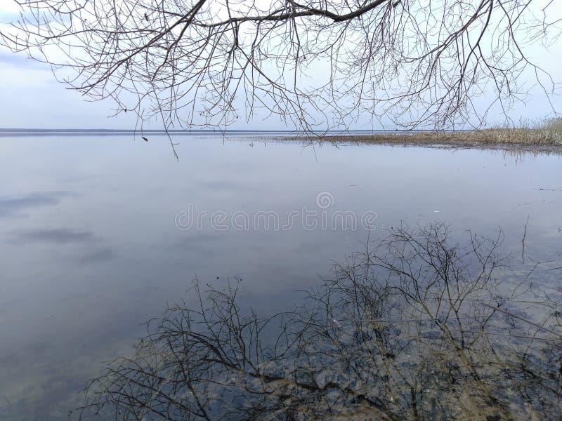 Le Village Lemon Stock Photos - Free & Royalty-Free Stock Photos from ...