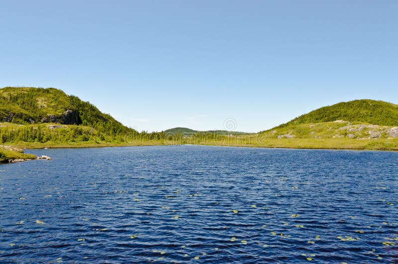 Lake. Newfoundland stock photo. Image of trees, water - 182791428