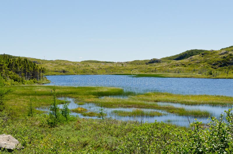 Lake. Newfoundland stock image. Image of grass, water - 243334409