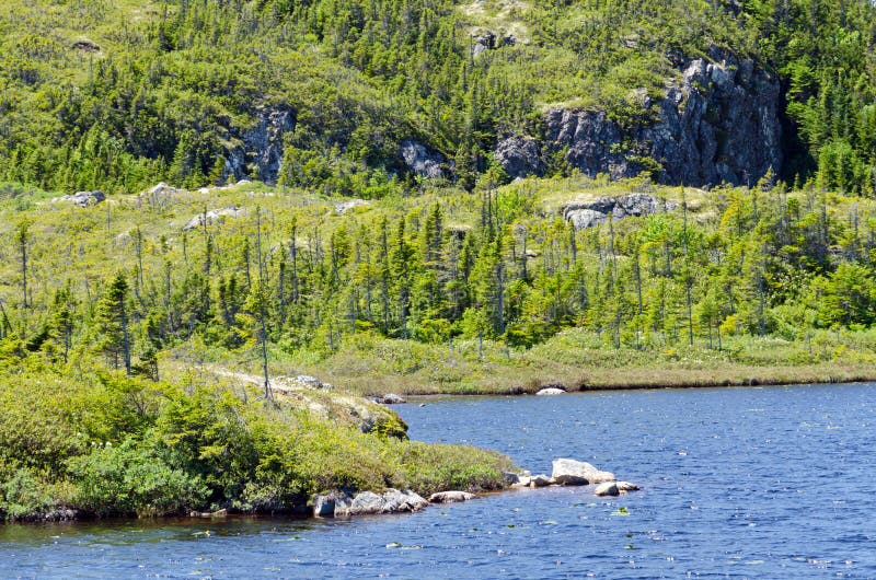 Lake. Newfoundland stock image. Image of pond, water - 52317601