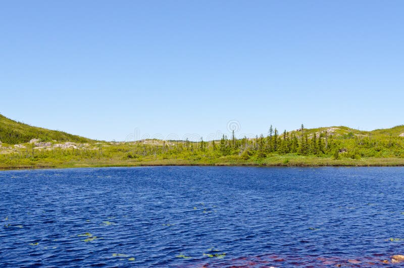 Lake. Newfoundland stock photo. Image of pond, shoreline - 177513536