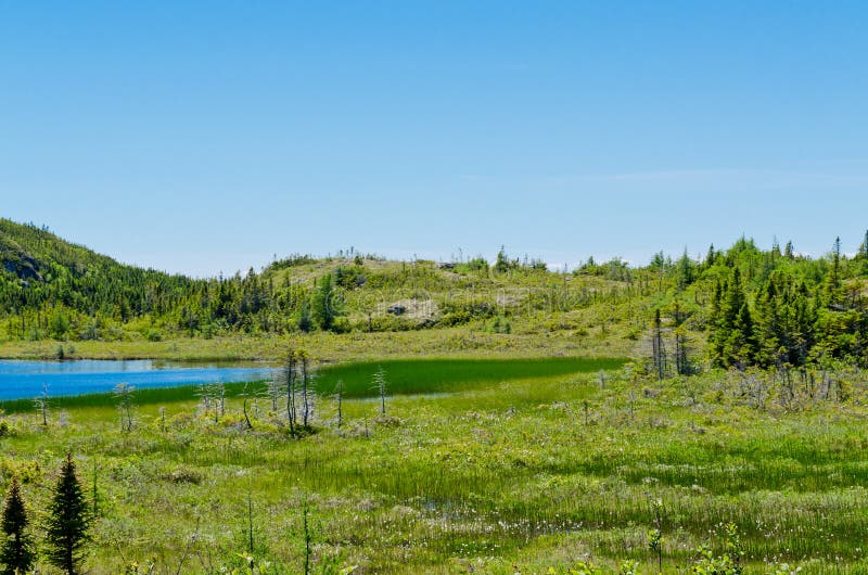 Lake. Newfoundland stock image. Image of pond, water - 52317601