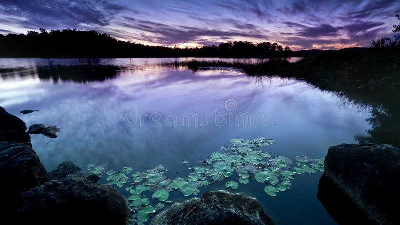 Lake at Night with Purple Sky and Cloud Reflection Stock Illustration ...