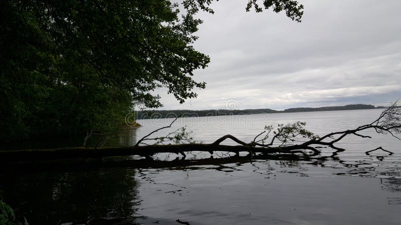 Trees Dummer Stock Photos - Free & Royalty-Free Stock Photos from ...