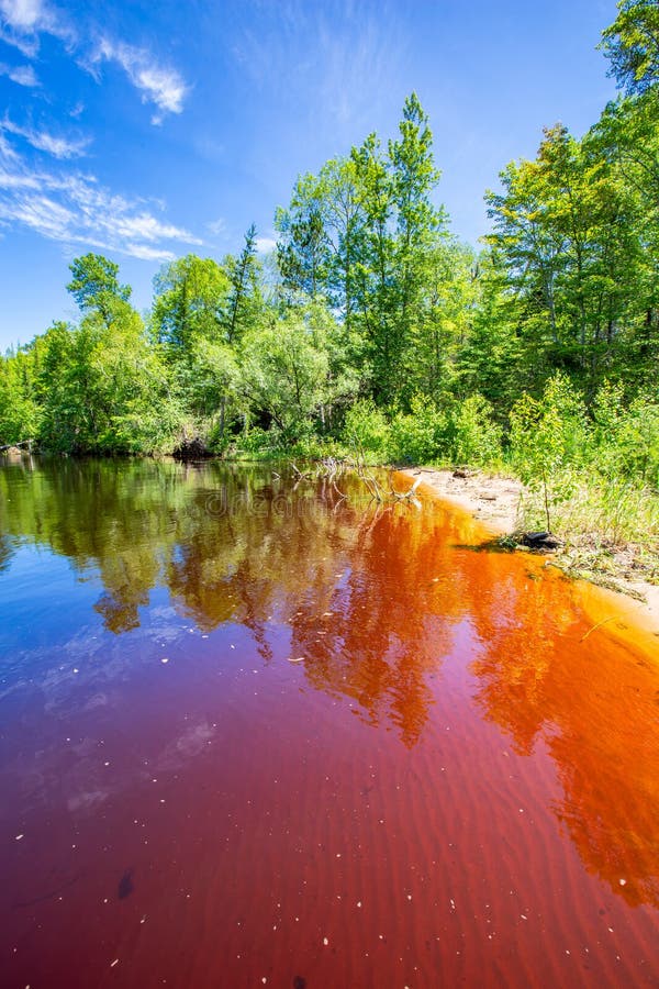Lake in Northern Wisconsin in July Stock Image - Image of outdoors ...