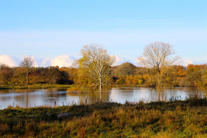 Lake in November in Beautiful Fall Colors Stock Photo - Image of ...