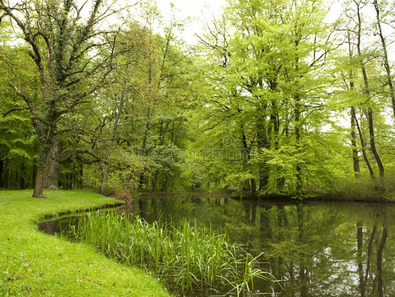 Lake in a old park stock photo. Image of park, nature - 14346530