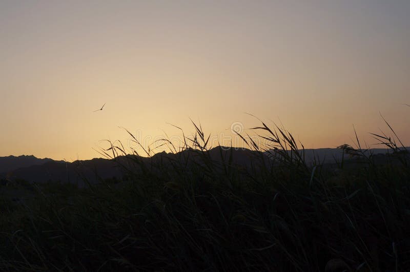 Lake in the Ornithological Park in Early Night, Purposely Blurred ...