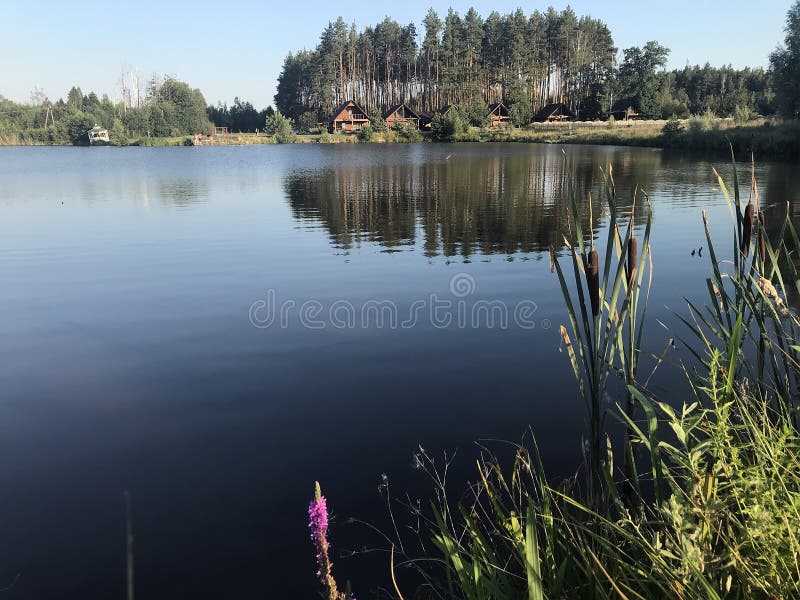 Lake outside the city stock photo. Image of nature, cold - 97913840