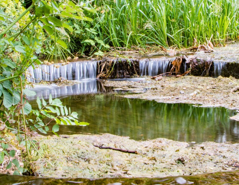 Lake overflow pipe stock image. Image of plants, flora - 95930375