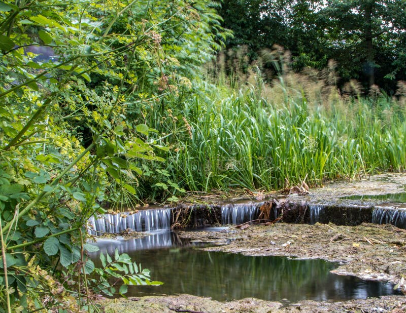 Lake overflow pipe stock image. Image of flowers, fence - 95930491