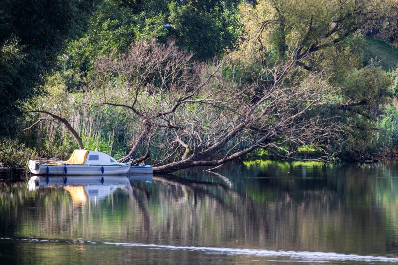 Lake Overlooking the Forest in Lubniewice, Poland Editorial Image ...