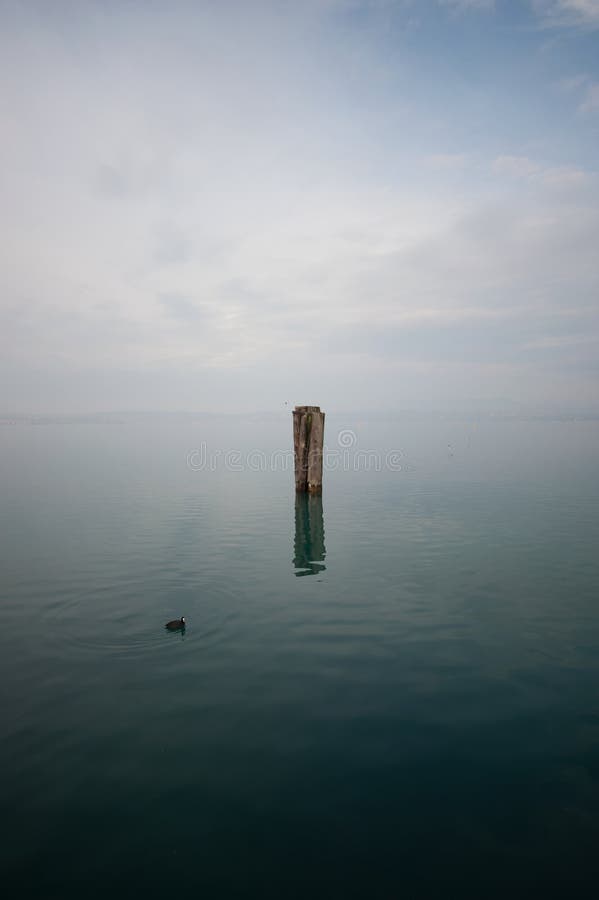 At lake, pale stock image. Image of blue, lake, animal - 38564617