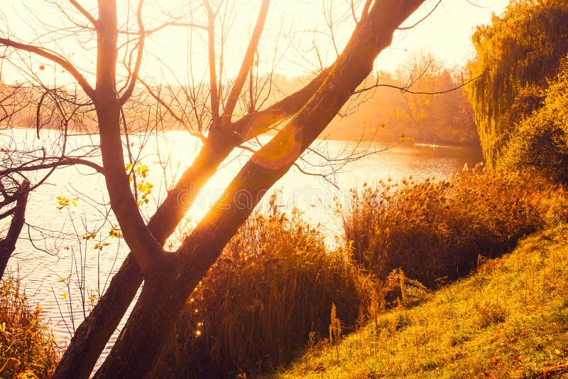 Lake in Park - Fall Foliage, Warsaw, Poland Stock Photo - Image of ...