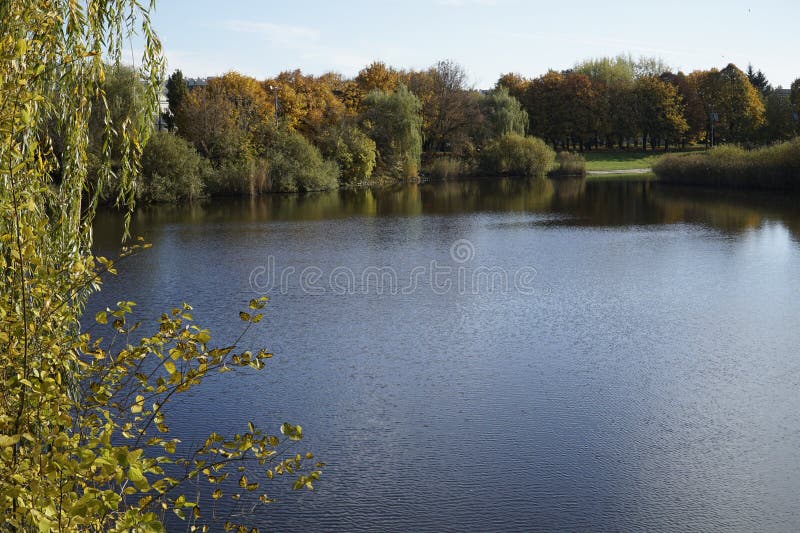 Lake in Park in Fall, Tree on First Plan Stock Image - Image of poland ...