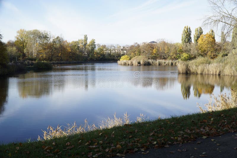 Lake in Park in Fall and Trees Reflecting in Water Stock Image - Image ...