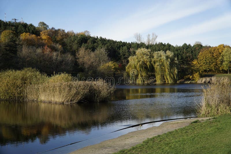 Lake in Park in Fall with Trees Reflecting in Water Stock Image - Image ...