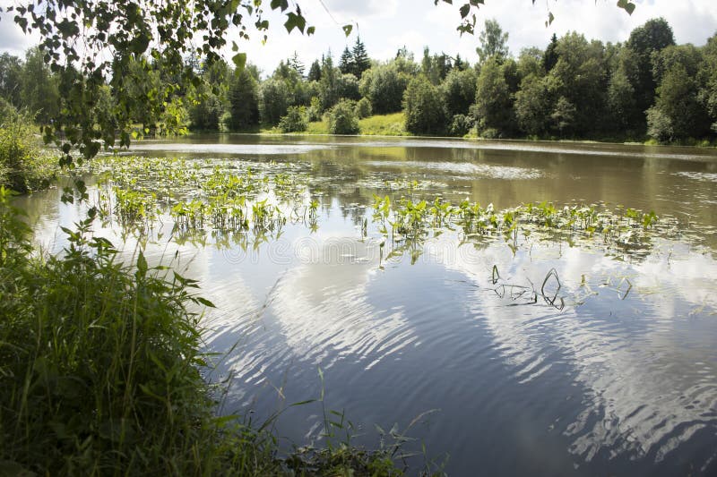A Lake in the Park. Reflection of White Clouds in the Water Stock Image ...