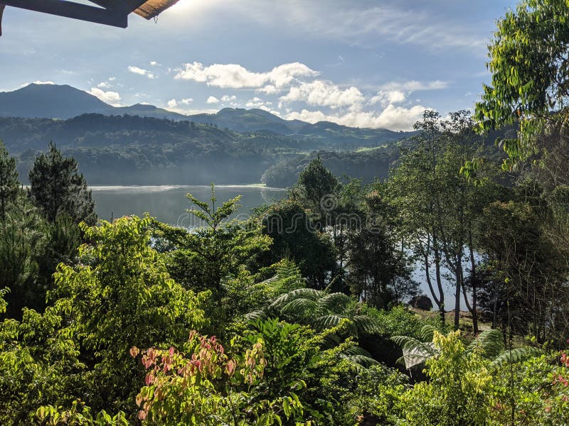 Lake patengang stock photo. Image of lake, nature, plant - 259275354