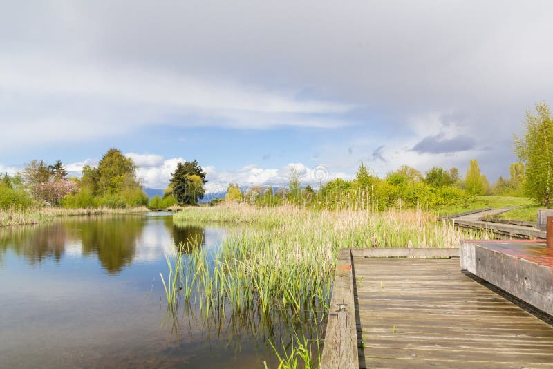 Lake path. stock photo. Image of foliage, single, panels - 41494462