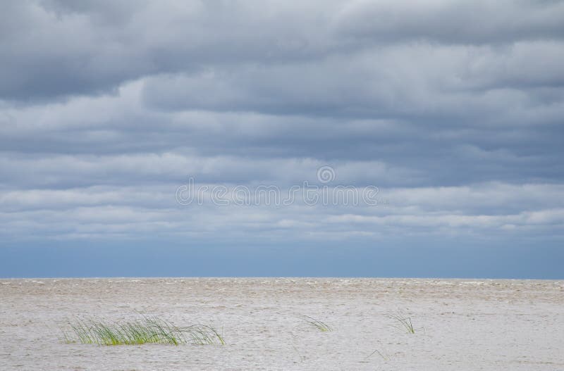 Lake Peipus in Eastern Estonia Stock Image - Image of summer, estland ...