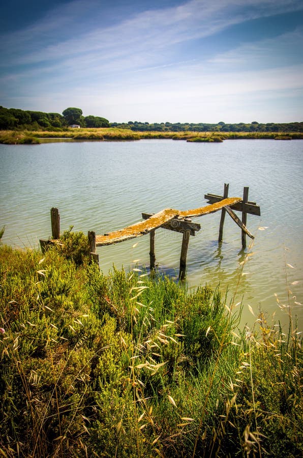 Lake Landscape stock image. Image of fall, park, lake - 22159733