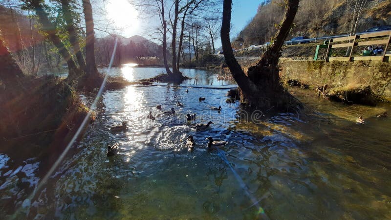Lake Pliva in Jajce stock image. Image of pond, lake - 244058495