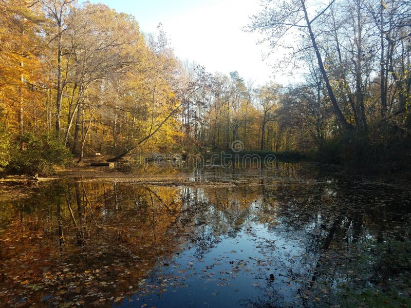 Lake or Pond with Dock and Trees and Reflections Stock Photo - Image of ...