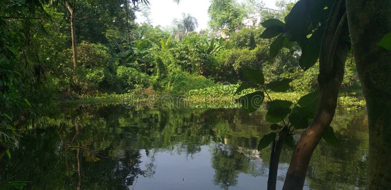 A Lake or Pond Surrounded by Generic Trees or Plants. Stock Photo ...