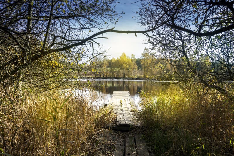 Lake - Pond Wide Angle View with Trees Stock Image - Image of panorama ...