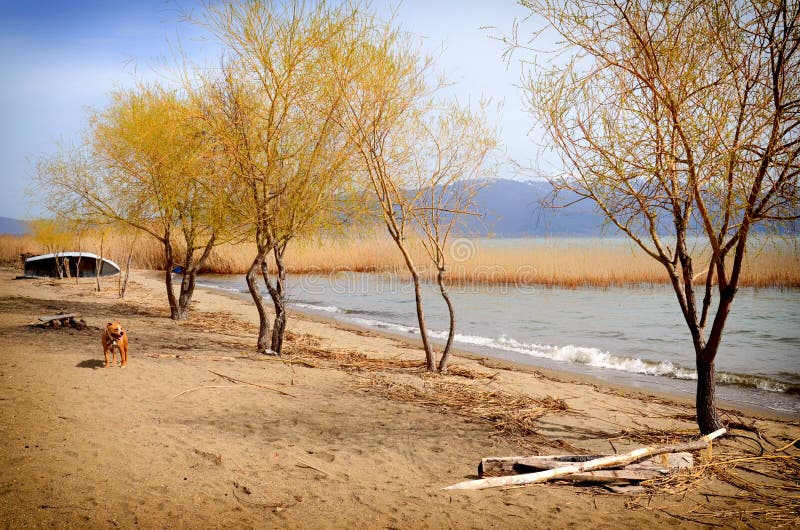Lake Prespa, Macedonia stock photo. Image of beachn, european - 67846064