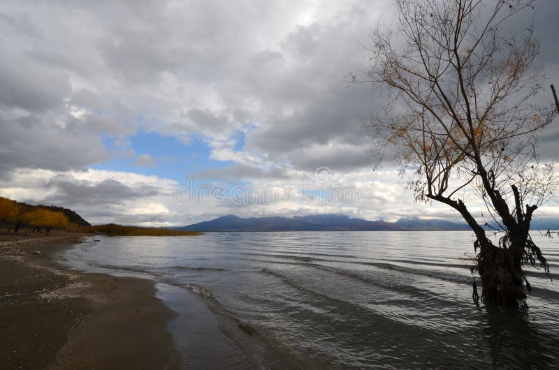 Lake Prespa stock image. Image of park, scenery, beach - 47006095