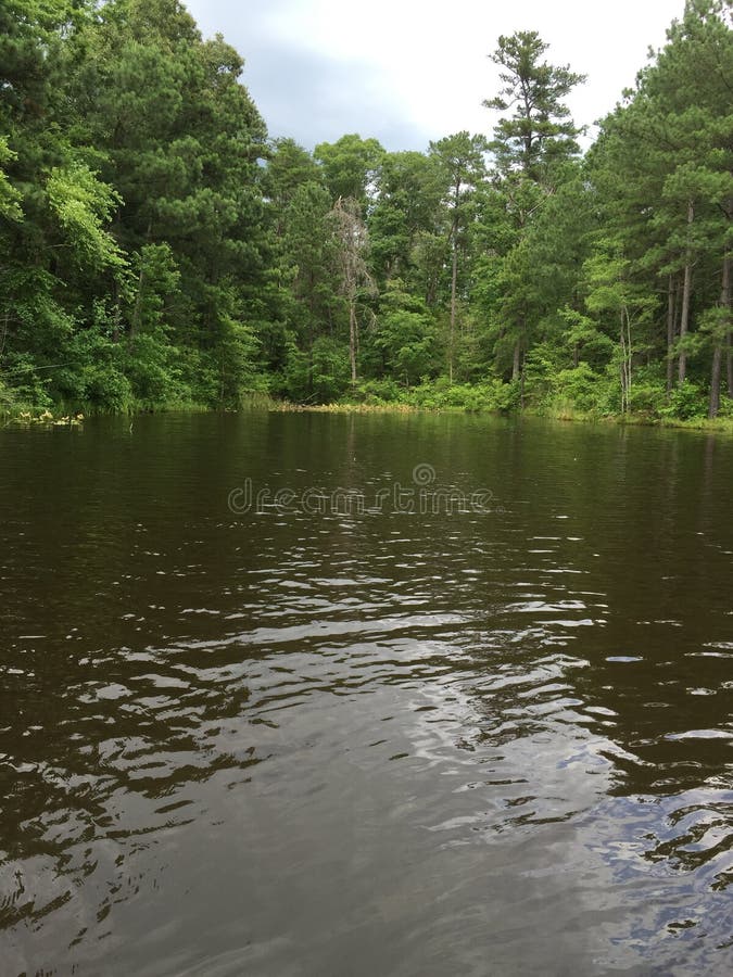 Pretty Lake in Fall in Quebec, Canada, on a Very Sunny Day Stock Image ...
