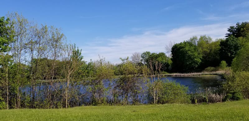 Lake that provides live stock photo. Image of garden - 186553440