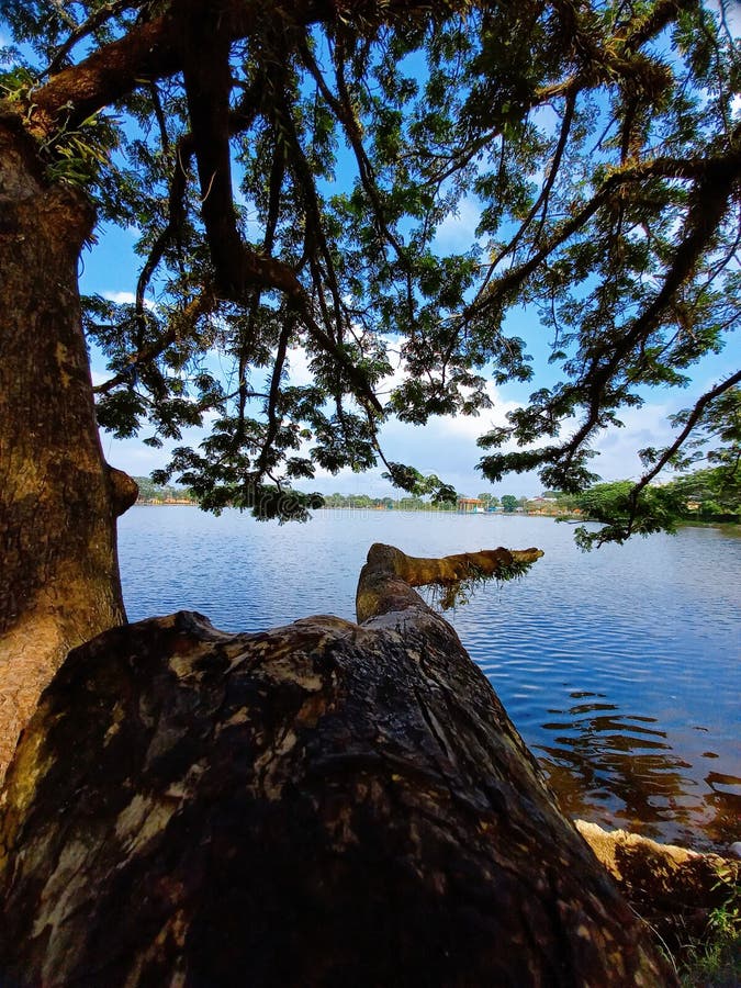 Lake Raja Rengat stock photo. Image of autumn, wilderness - 258476106