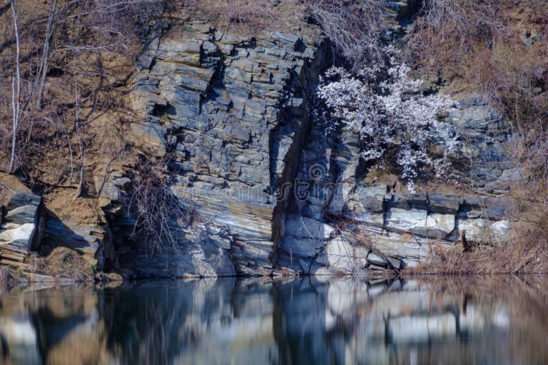 Lake in Ravine with Trees, Long Exposition Stock Image - Image of trees ...