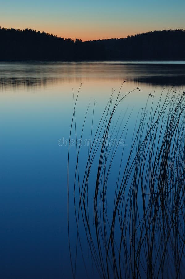 Lake with reeds. stock image. Image of calm, stillness - 1251925