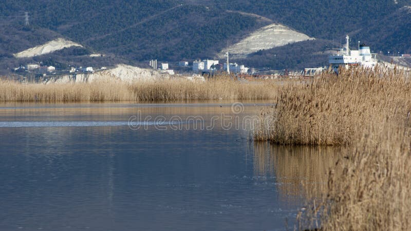 Lake with reeds stock image. Image of mountain, smooth - 111197079