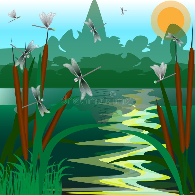 Lake, Reeds and Flying Dragonflies. Stock Vector - Illustration of ...